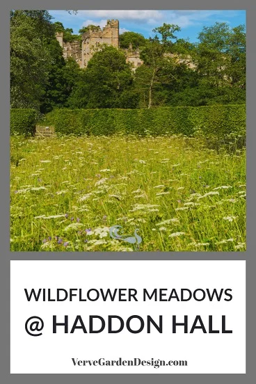 The 7 Best English Gardens To Visit For Meadow-Style Planting — Verve ...
