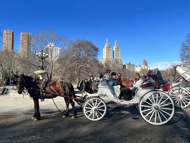Top 10 Central Park & NYC Horse Carriage Rides - New York Harbor Tours