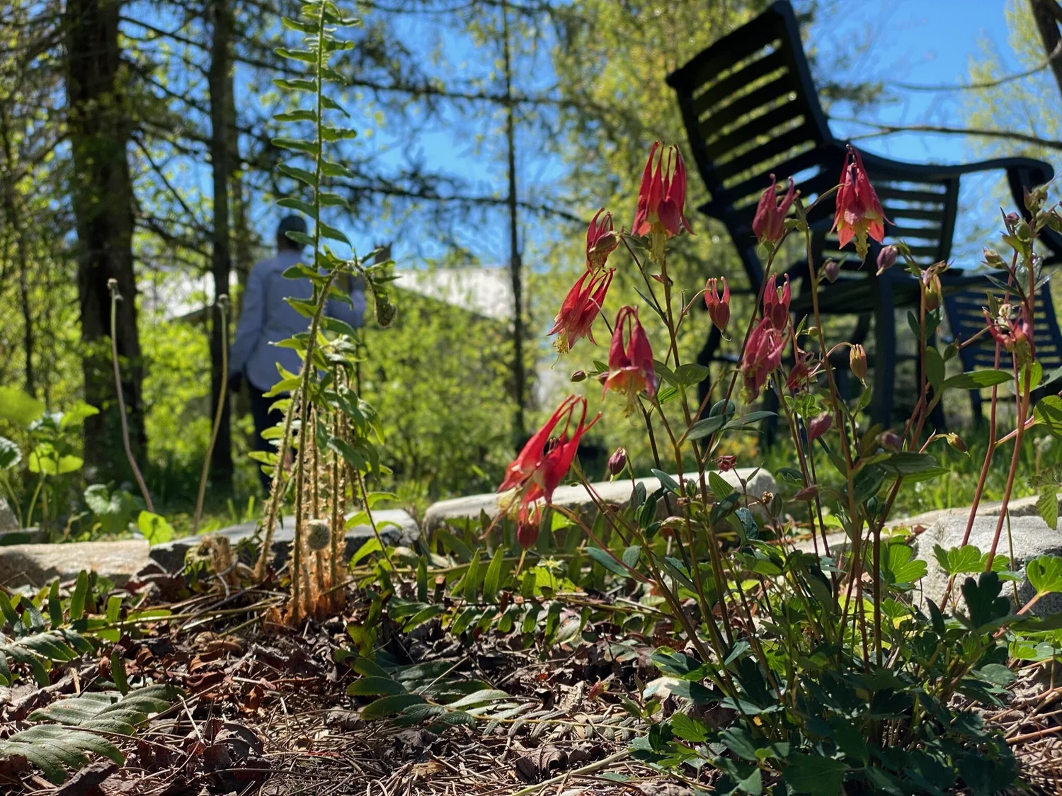 Unitarian Universalists of Transylvania County