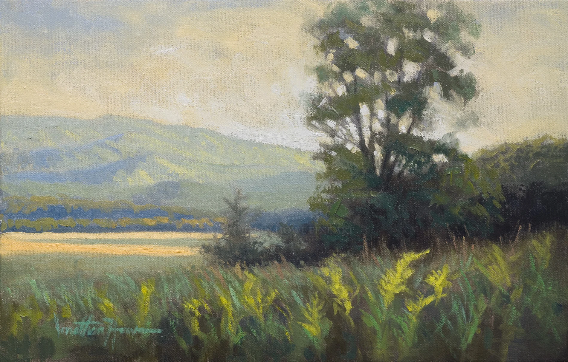 Jonathan Howe Fine Art