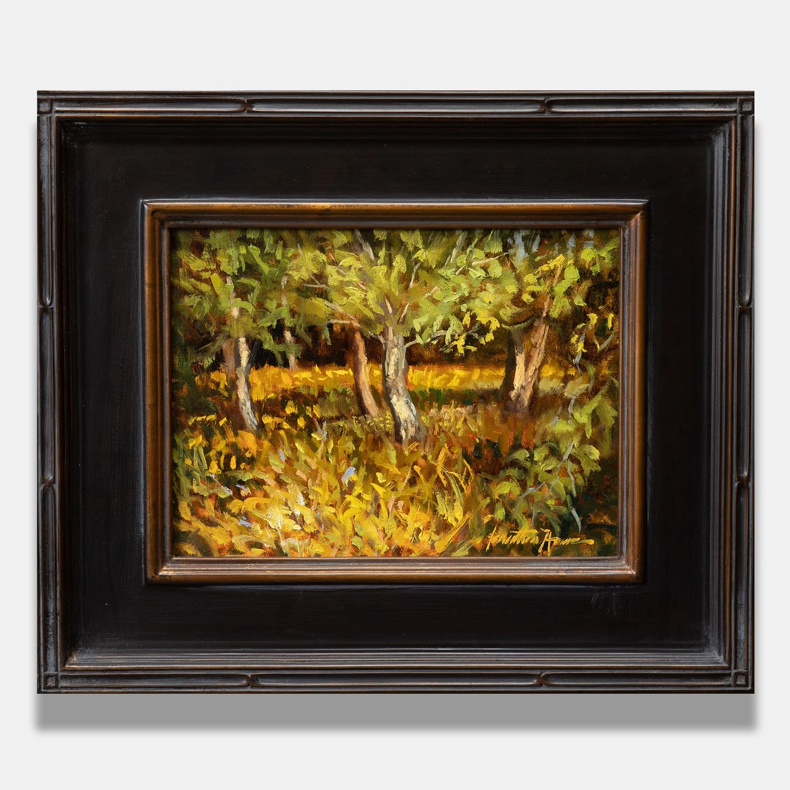 Shop — Jonathan Howe Fine Art