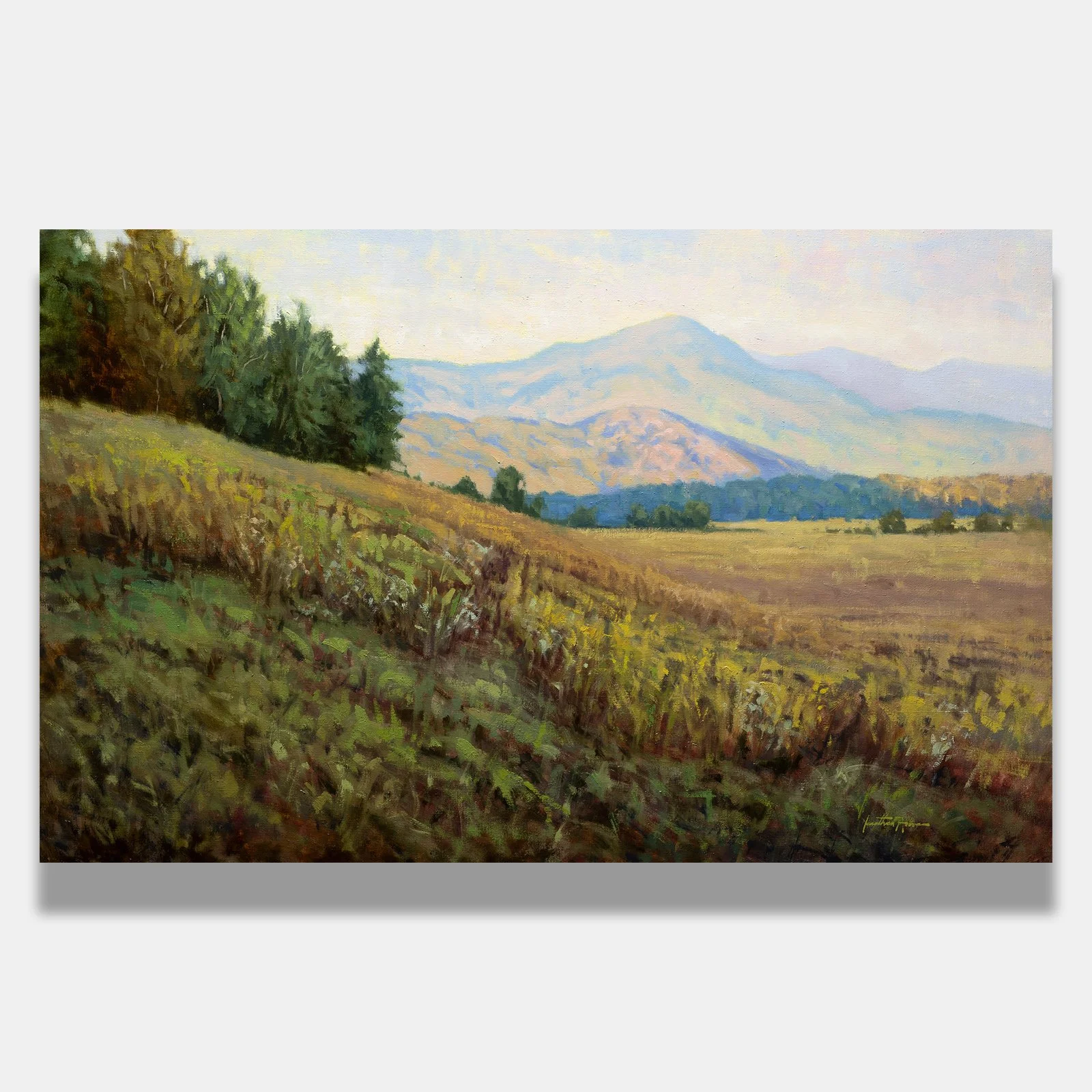 Jonathan Howe Fine Art