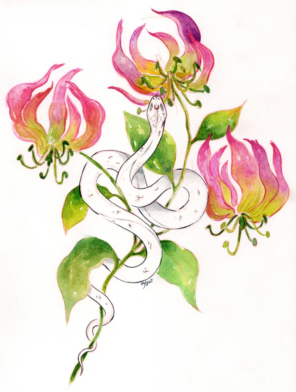 Illustration — Chanel Harris