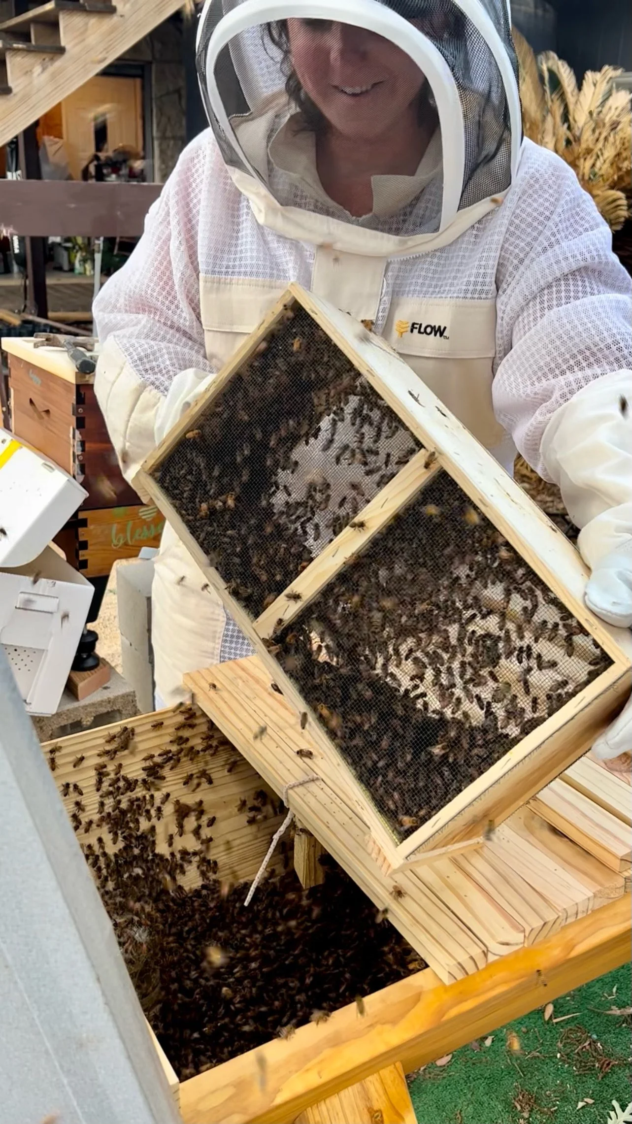 Liferoot Bees — LifeRoot Botanicals