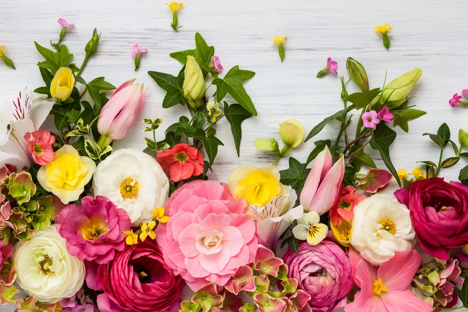 Keep Cut Flowers Fresh (How to make your own Cut Flower Food ...