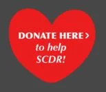 Southern California Dachshund Relief Inc. Dachshund Rescue California