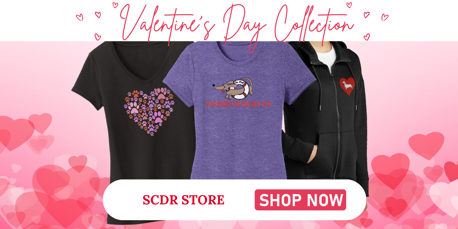 Northern California — Southern California Dachshund Relief Inc.