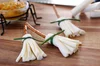 Witches Cheese Brooms With Mustard Dip Recipe — Cherchies Blog