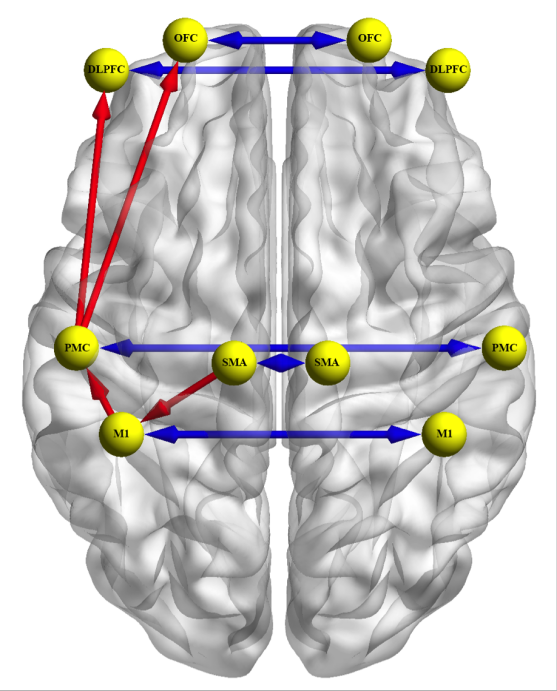 NIRS and connectivity measures: an Interview with Prof. Stephane Perrey ...
