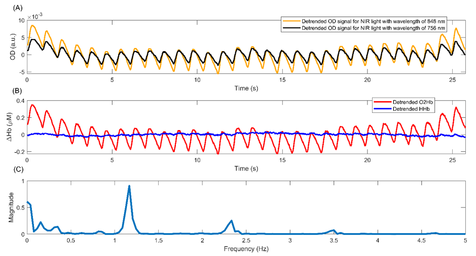Heart rate extraction from NIRS signal - Artinis Medical Systems ...