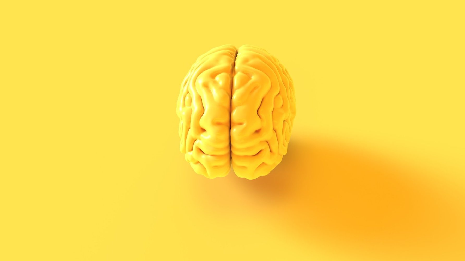 fNIRS — Prefrontal cortex - Artinis Medical Systems | fNIRS and NIRS ...