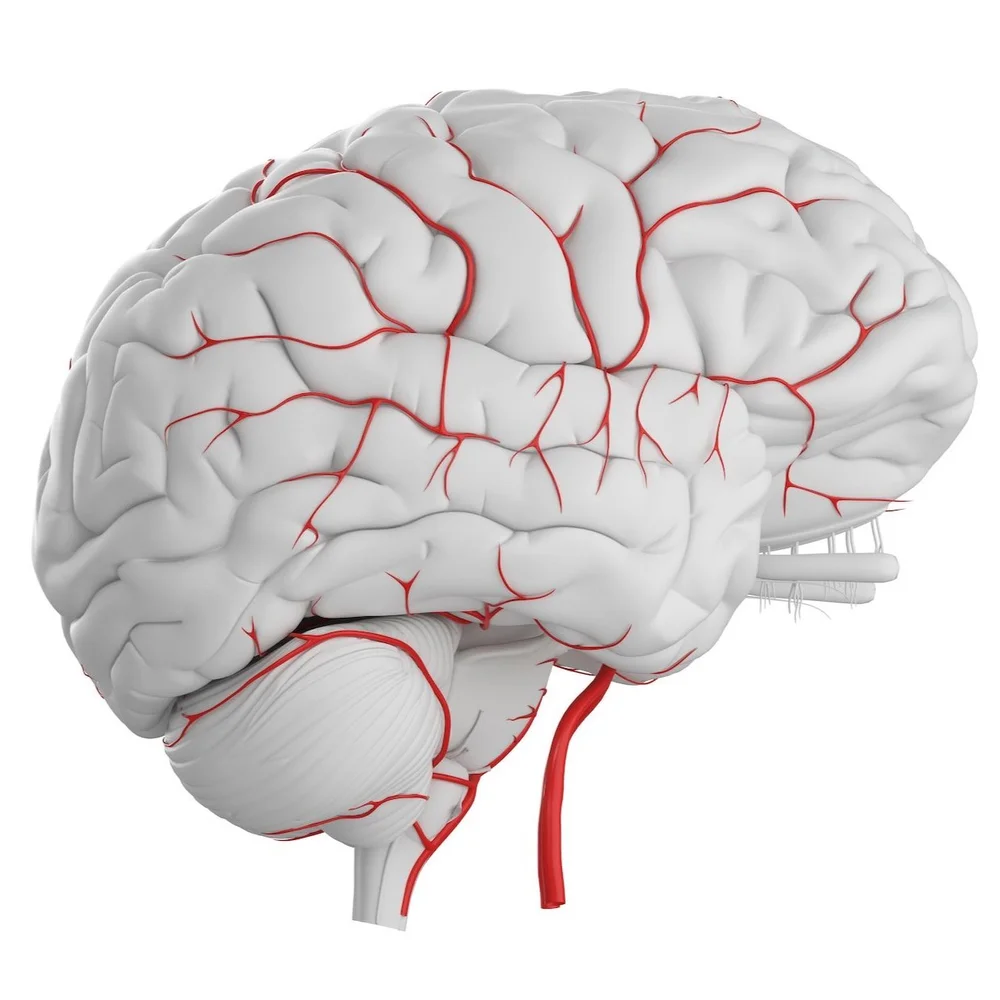 2021 Publication overview with Artinis Near-Infrared Spectroscopy (NIRS ...