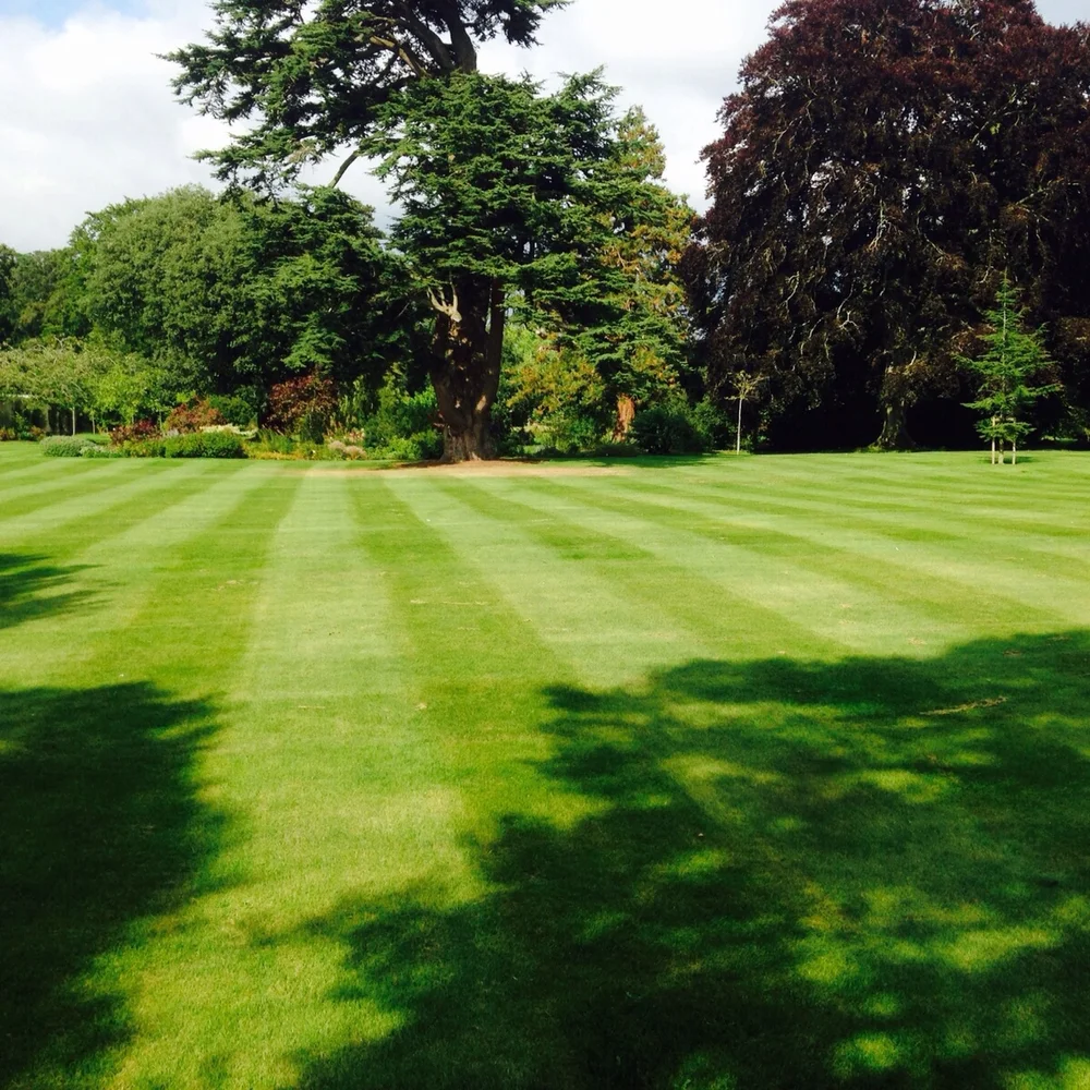 Tailor-made garden maintenance — Charles Hoare landscape & garden services