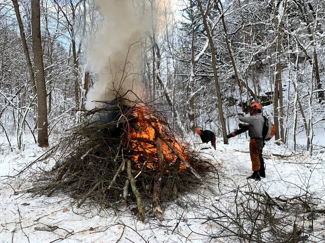 Restorative Forestry — Adaptive Restoration LLC