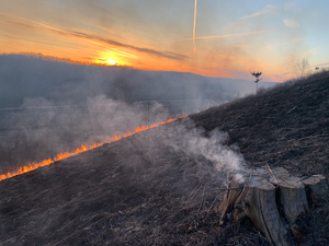 What to expect when you are expecting a burn — Adaptive Restoration LLC