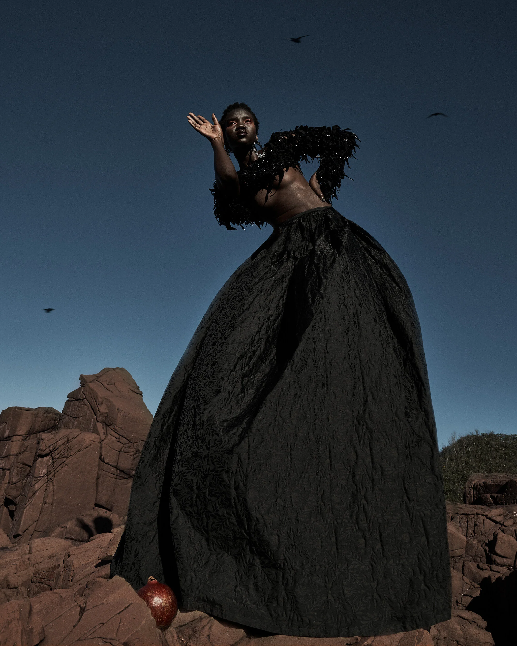 MATT BRIGGS PHOTOGRAPHER