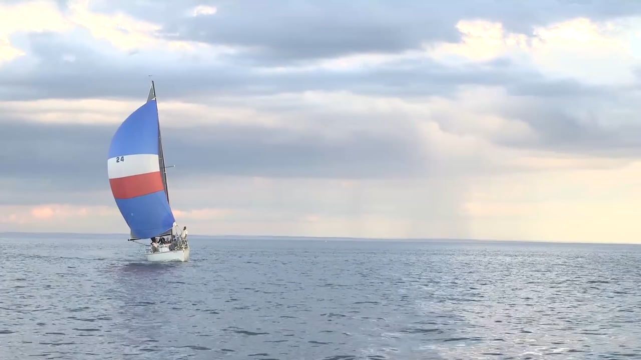 Cartiva: Janet — Bill Reber