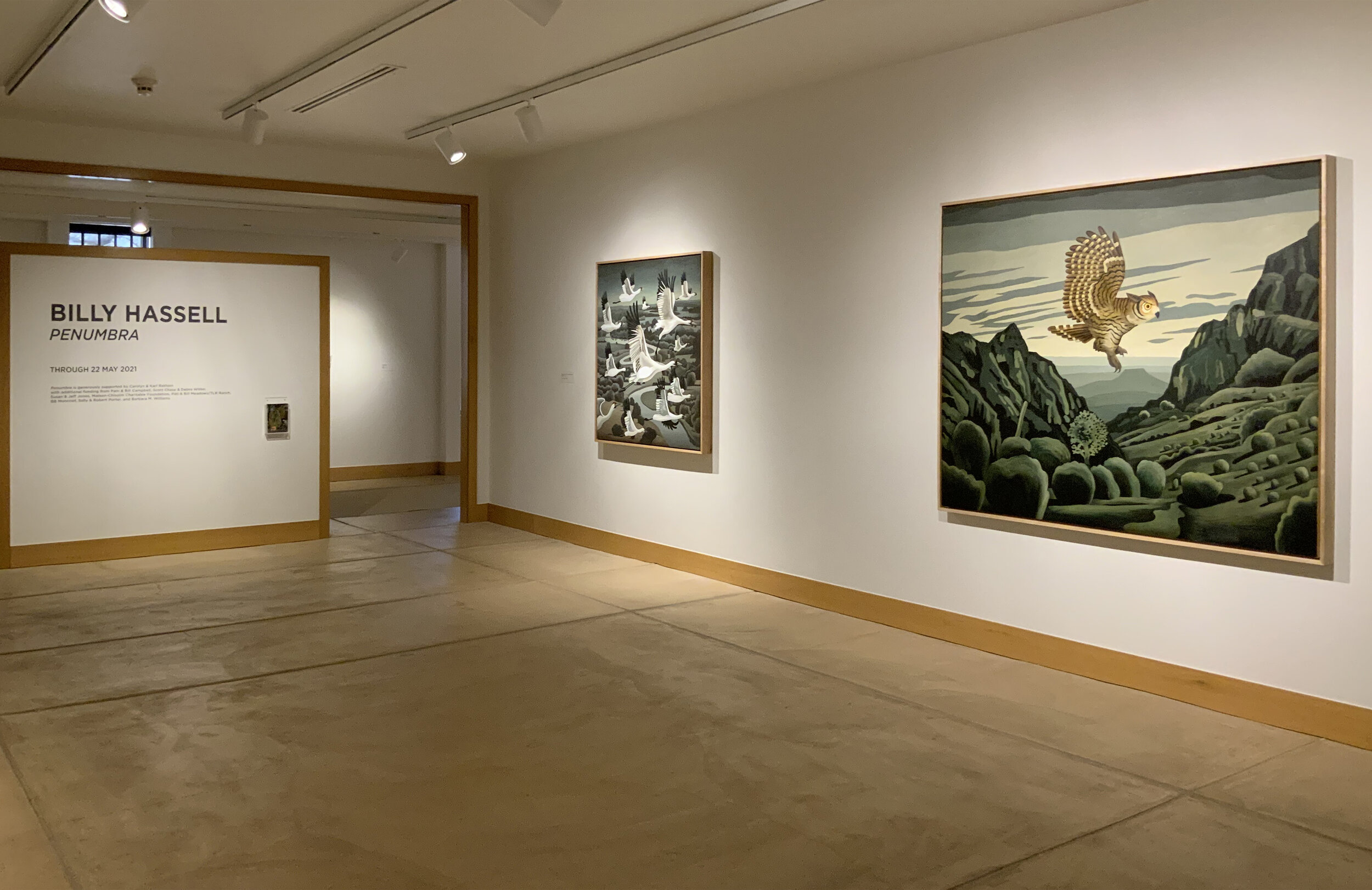 BILLY HASSELL: Penumbra — The Old Jail Art Center