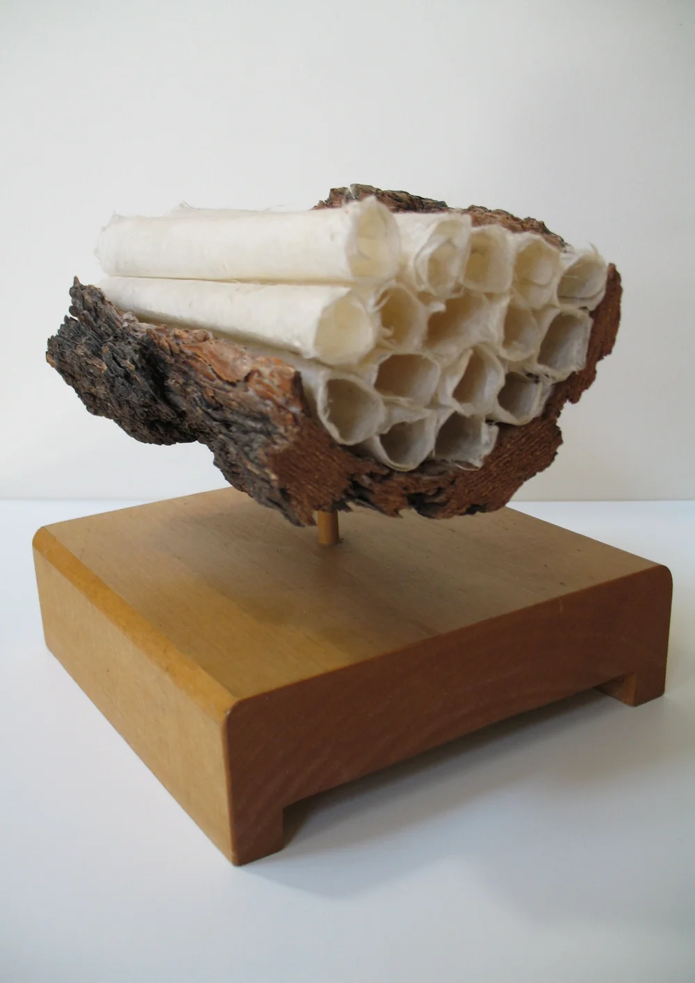 ARCHIVE — Mary Ellen Long Art