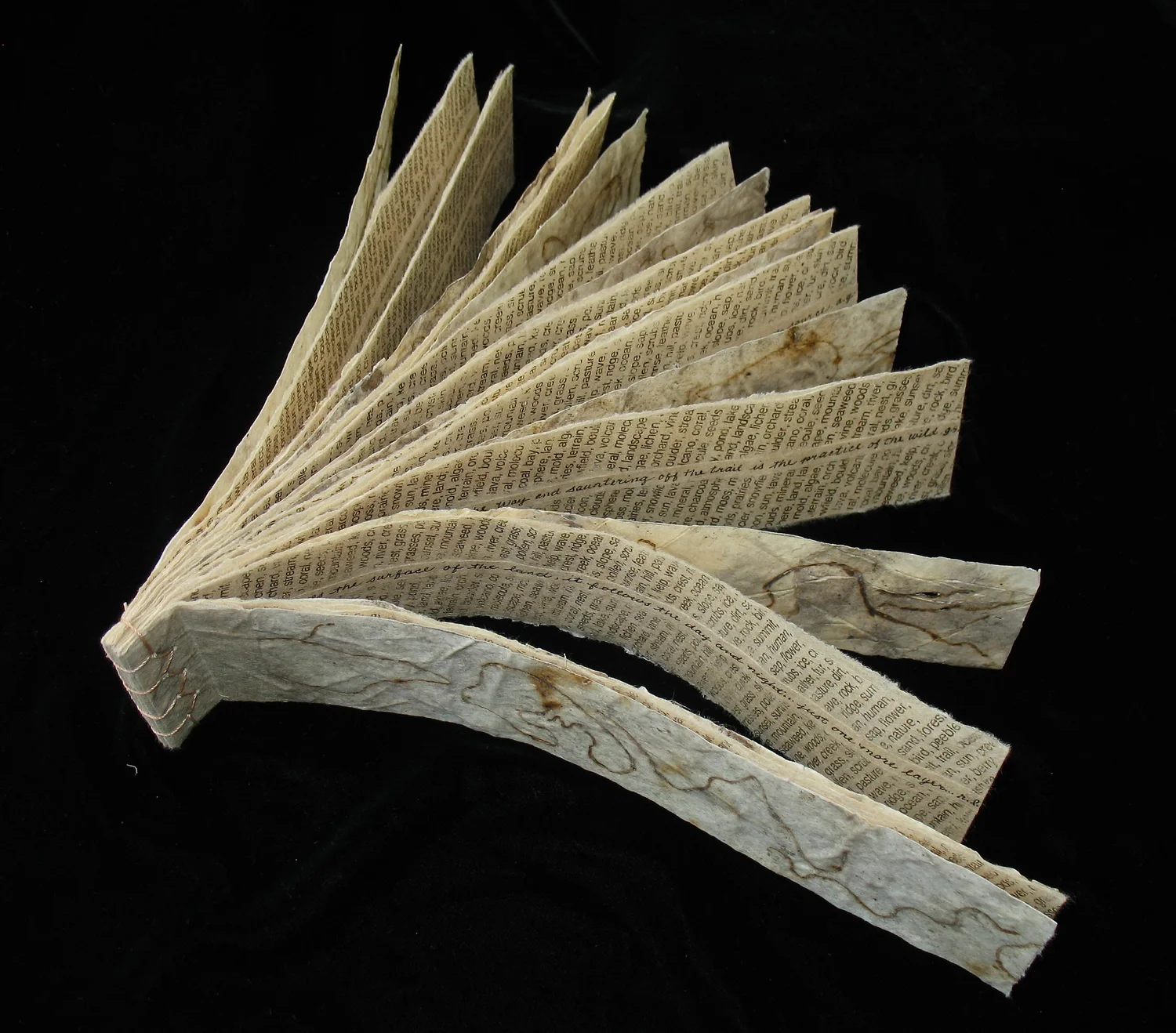 ARCHIVE — Mary Ellen Long Art