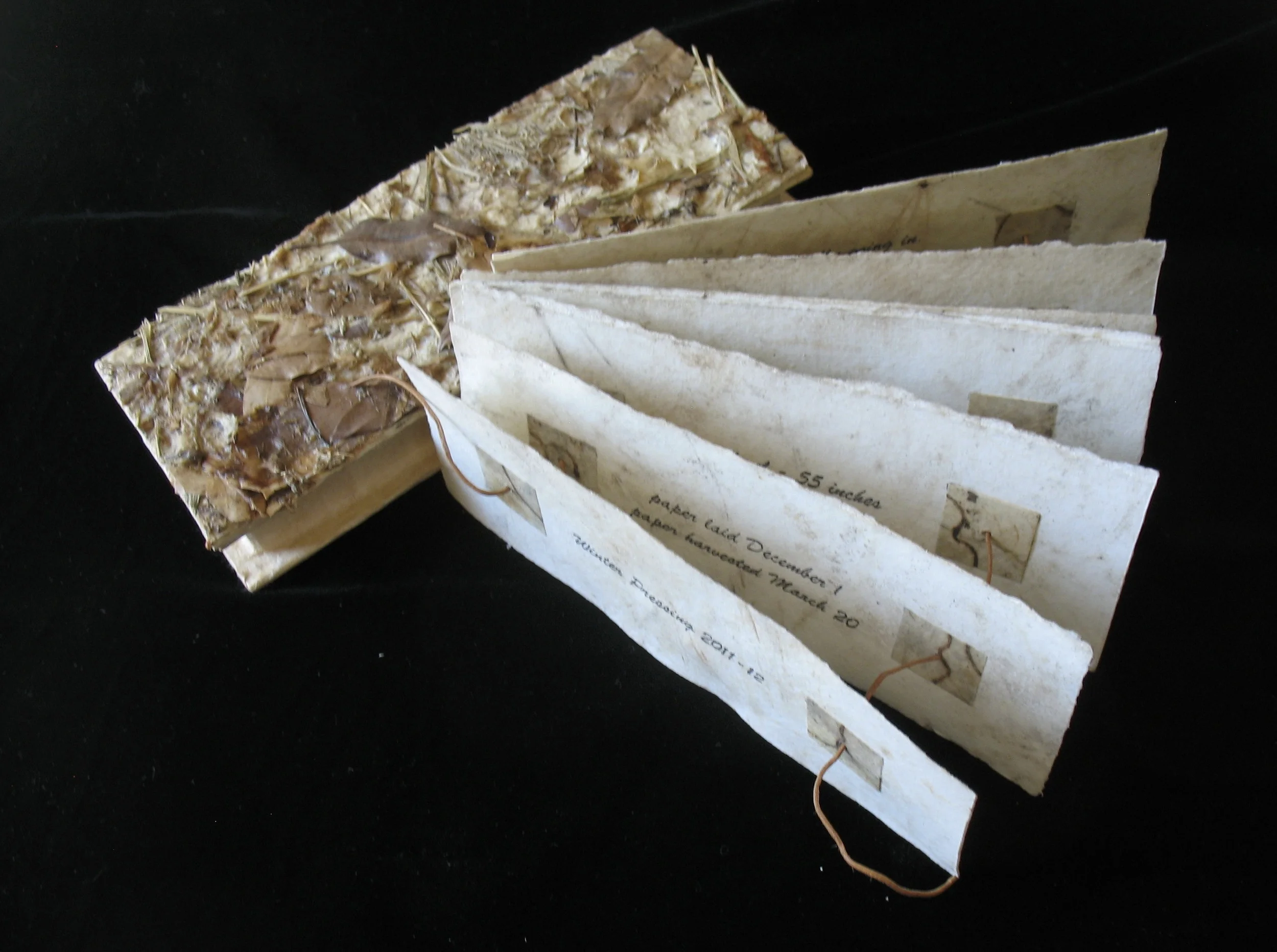 ARCHIVE — Mary Ellen Long Art