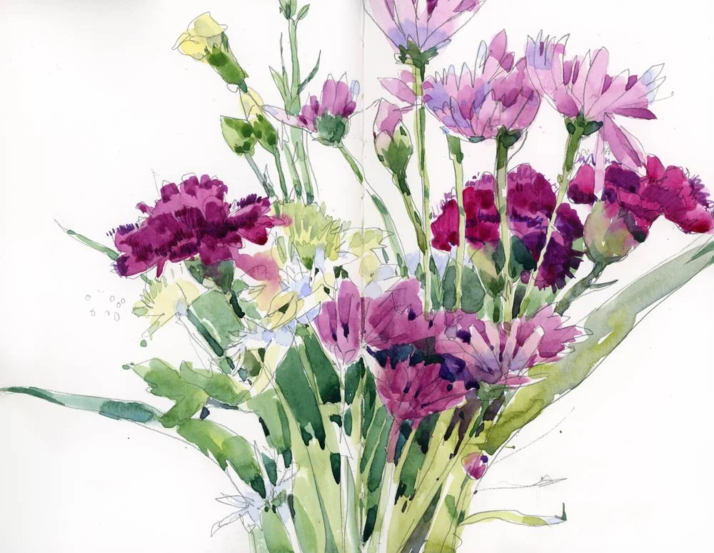 Flower sketches — Shari Blaukopf Watercolours