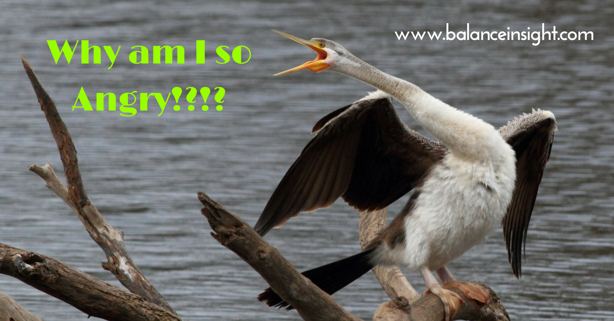 Insights & Blog WA | Robin Custer, Washington Counseling & EMDR