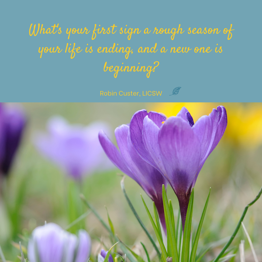 What are Your Signs of Spring? | Robin Custer, Washington Counseling & EMDR