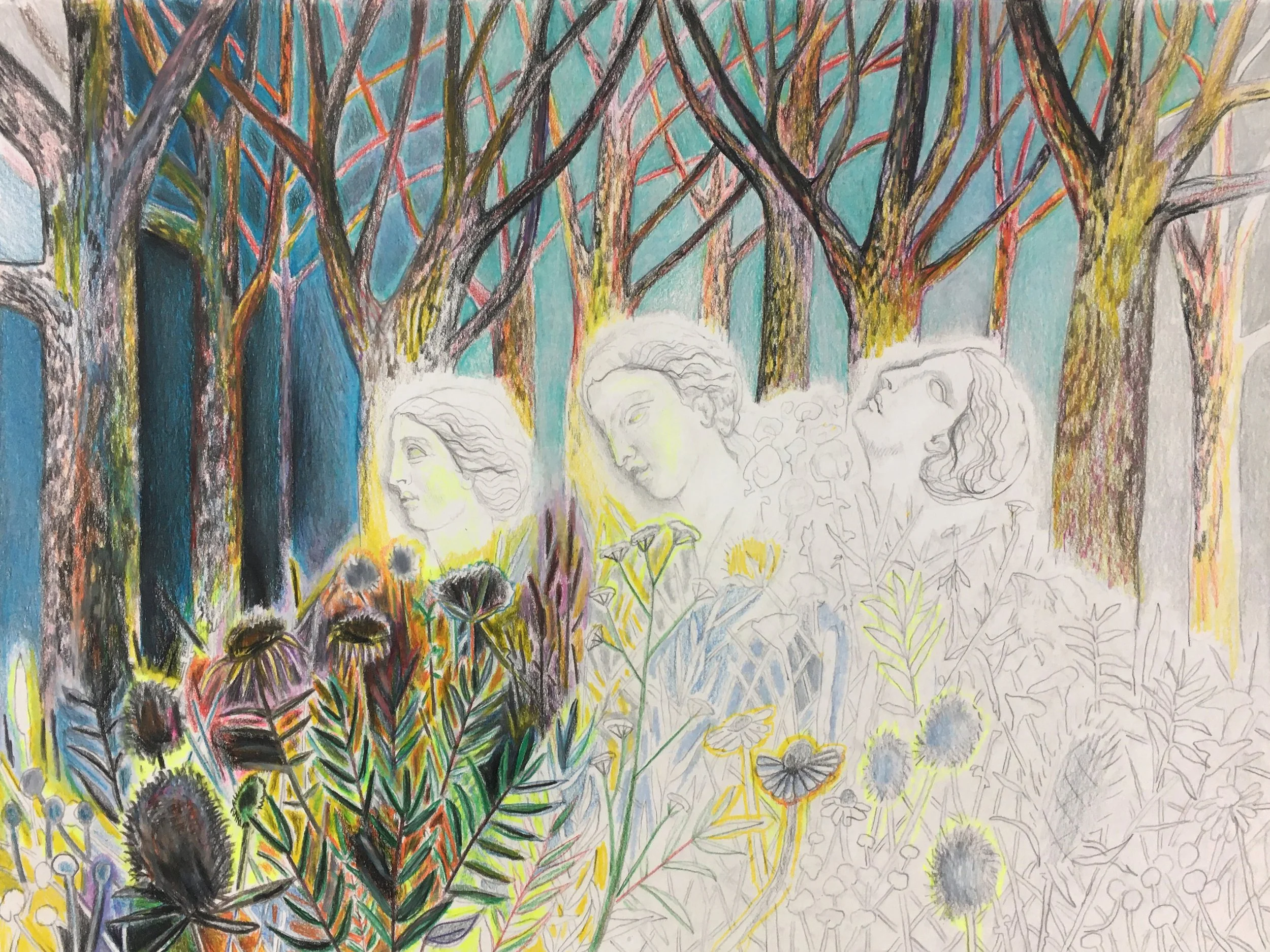 DRAWING — JENNIFER COATES