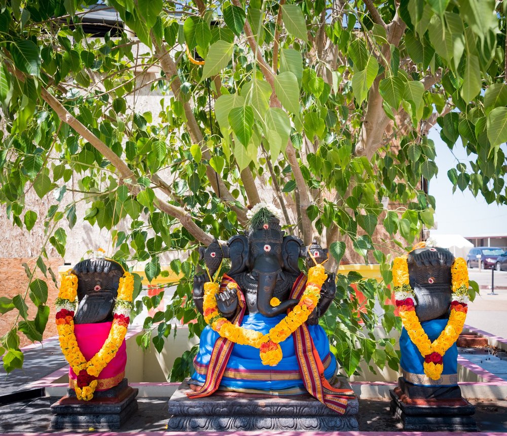 Nagula Chavithi Celebrations — Maha Ganapati Temple of Arizona