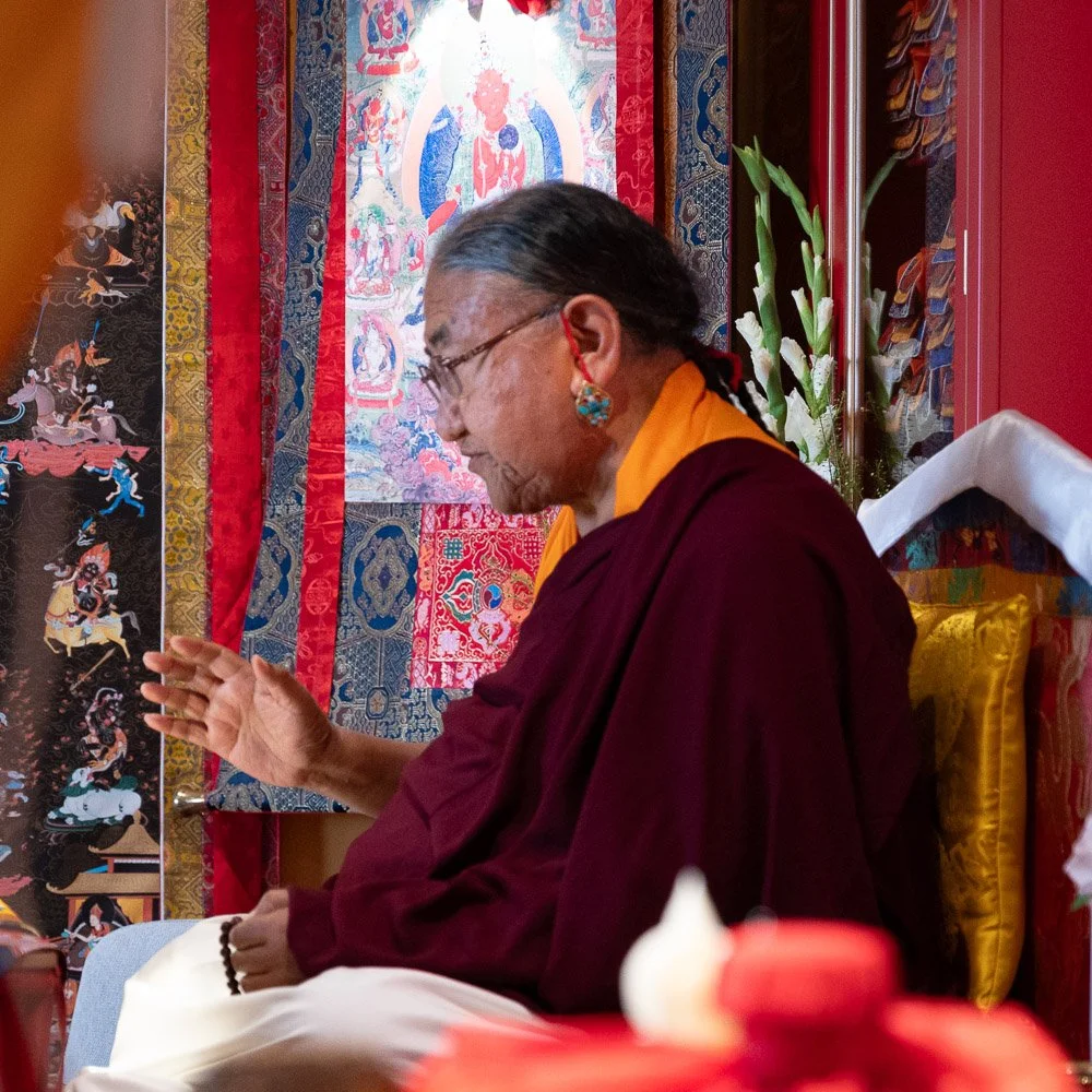 Visit of His Holiness Sakya Gongma Trichen to Sakya Changlochen Ling — Lama Jampa Thaye
