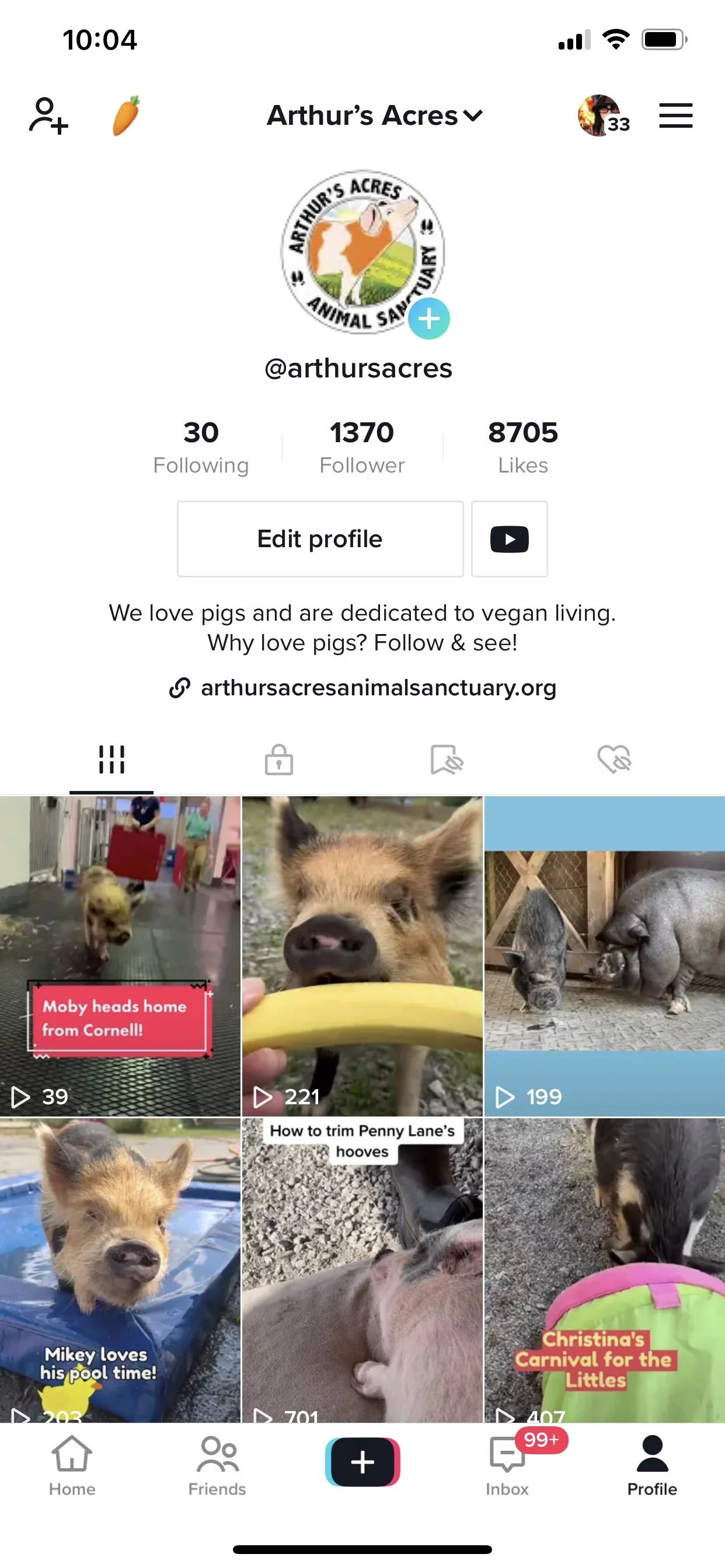 Arthur's Acres Animal Sanctuary — Jean Rhode