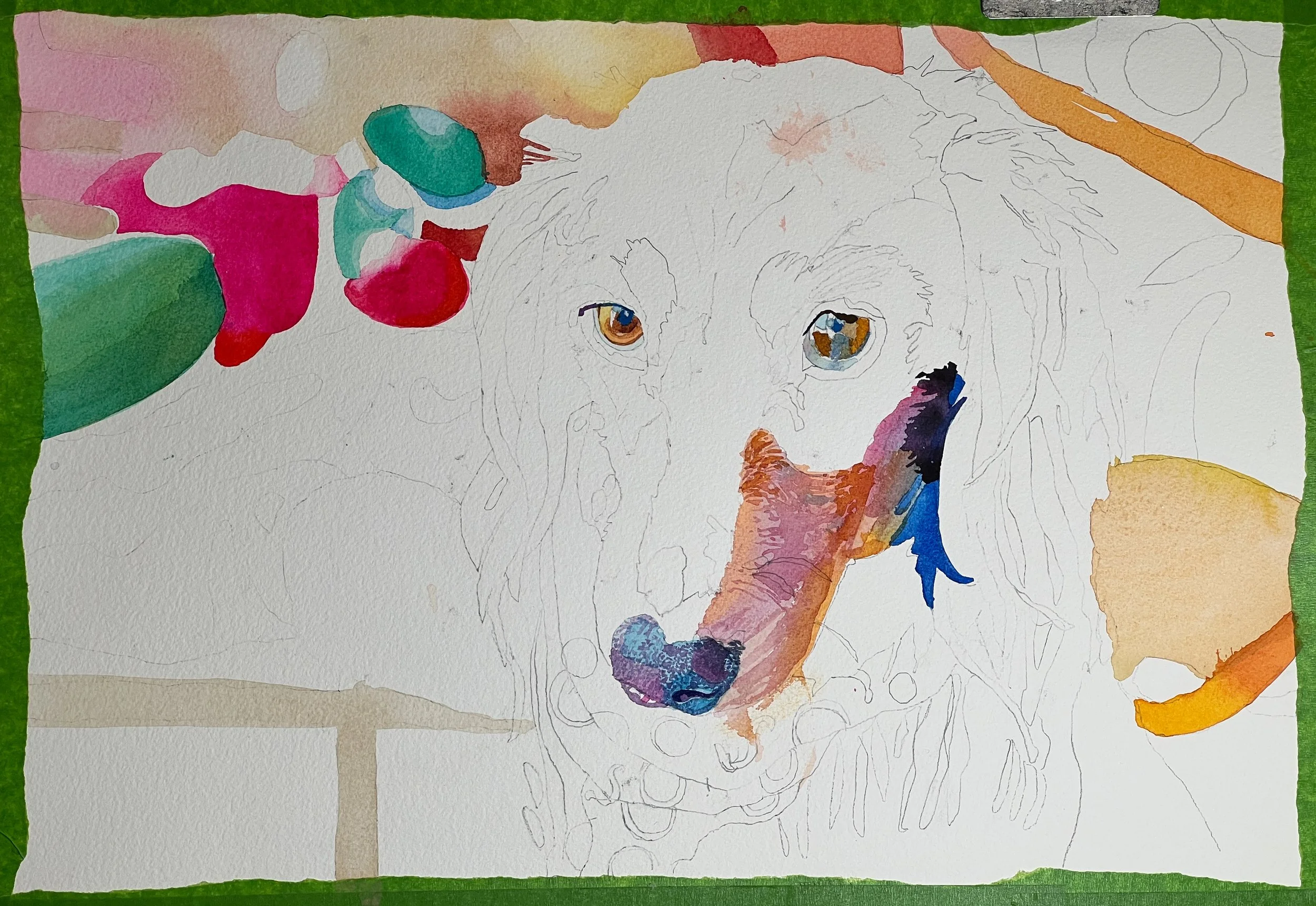 Tico de Gallo II Progression — Robert Leedy Watercolors