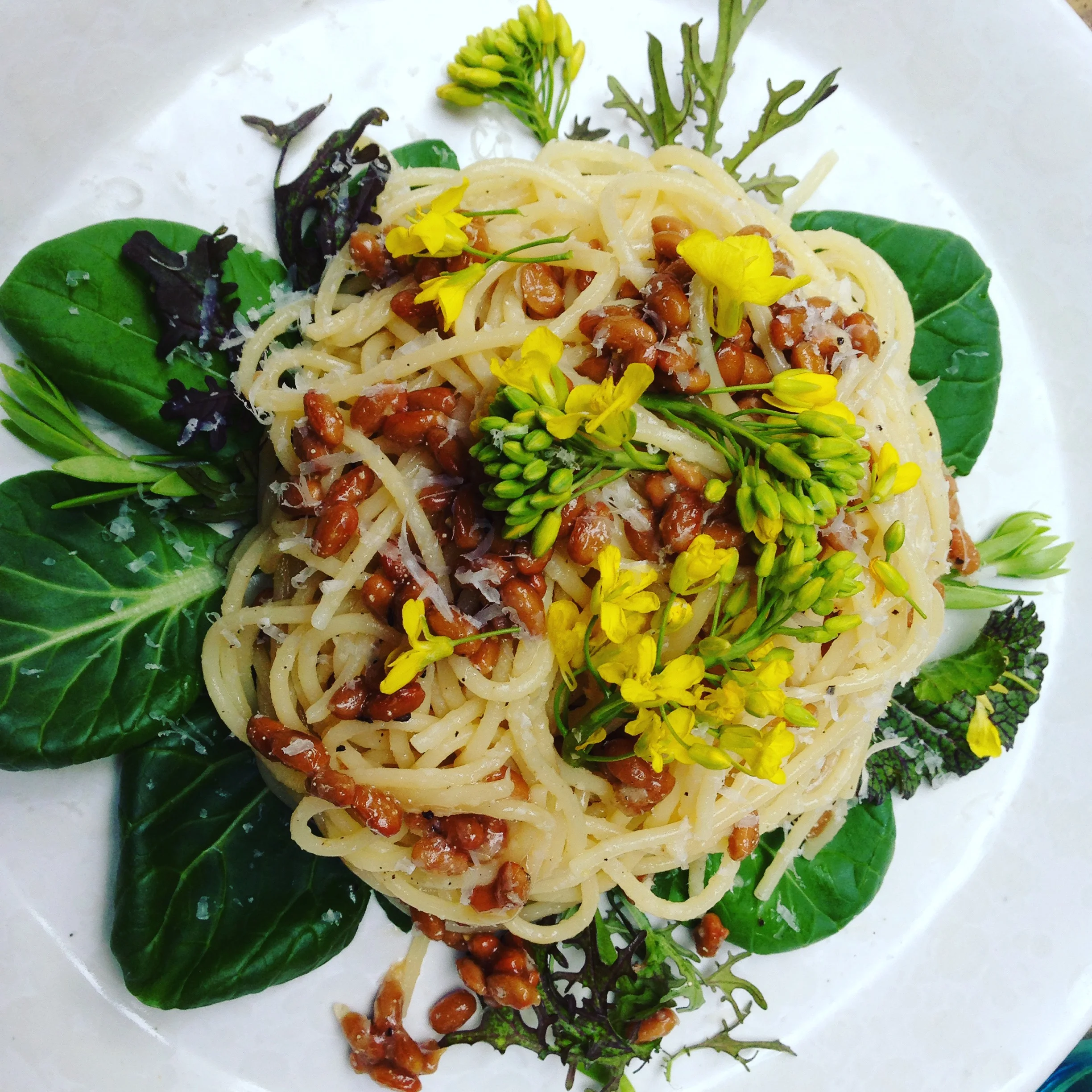 NATTO RECIPES — NYrture New York Natto