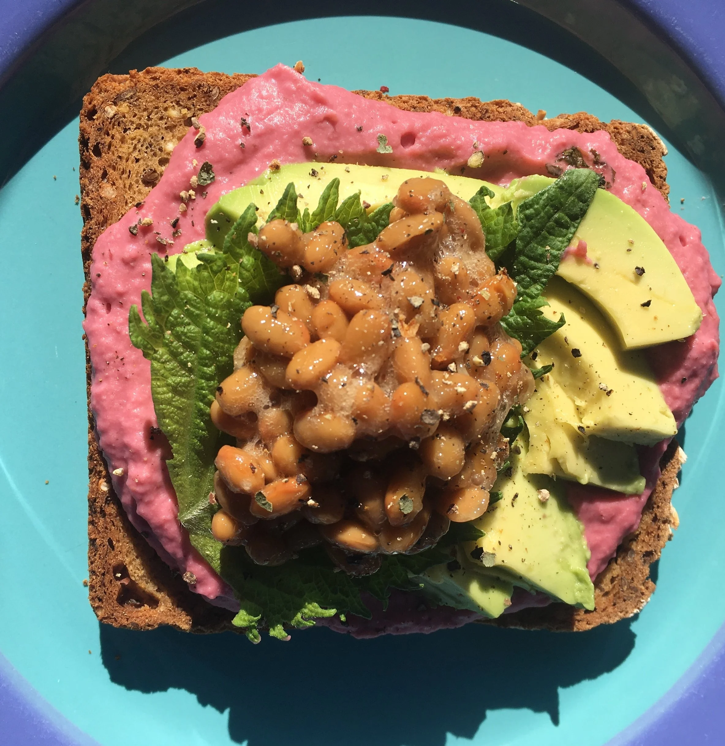 NATTO RECIPES — NYrture New York Natto