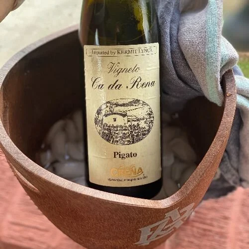 Pesto & Pigato, PERFECT PAIRING FROM THE LIGURIAN COAST — Swirl Wine ...