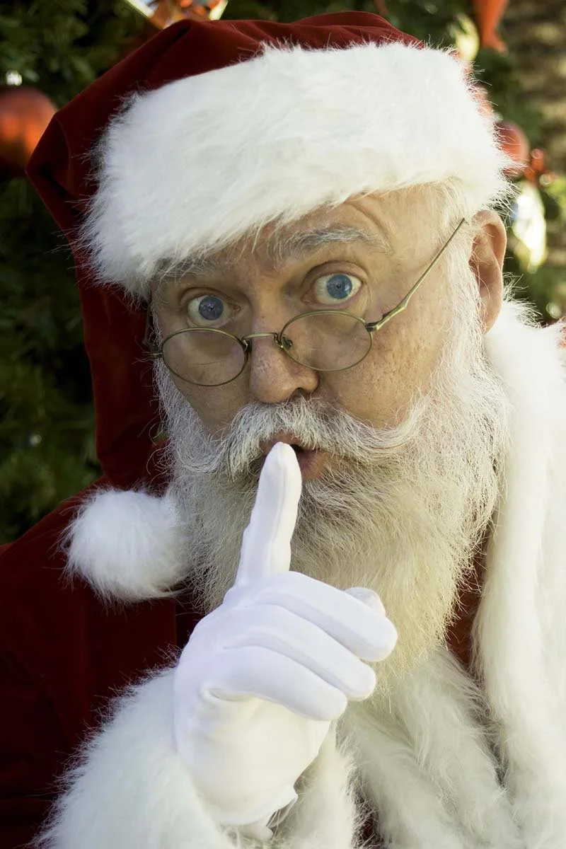 Wishing Well Entertainment and Parties