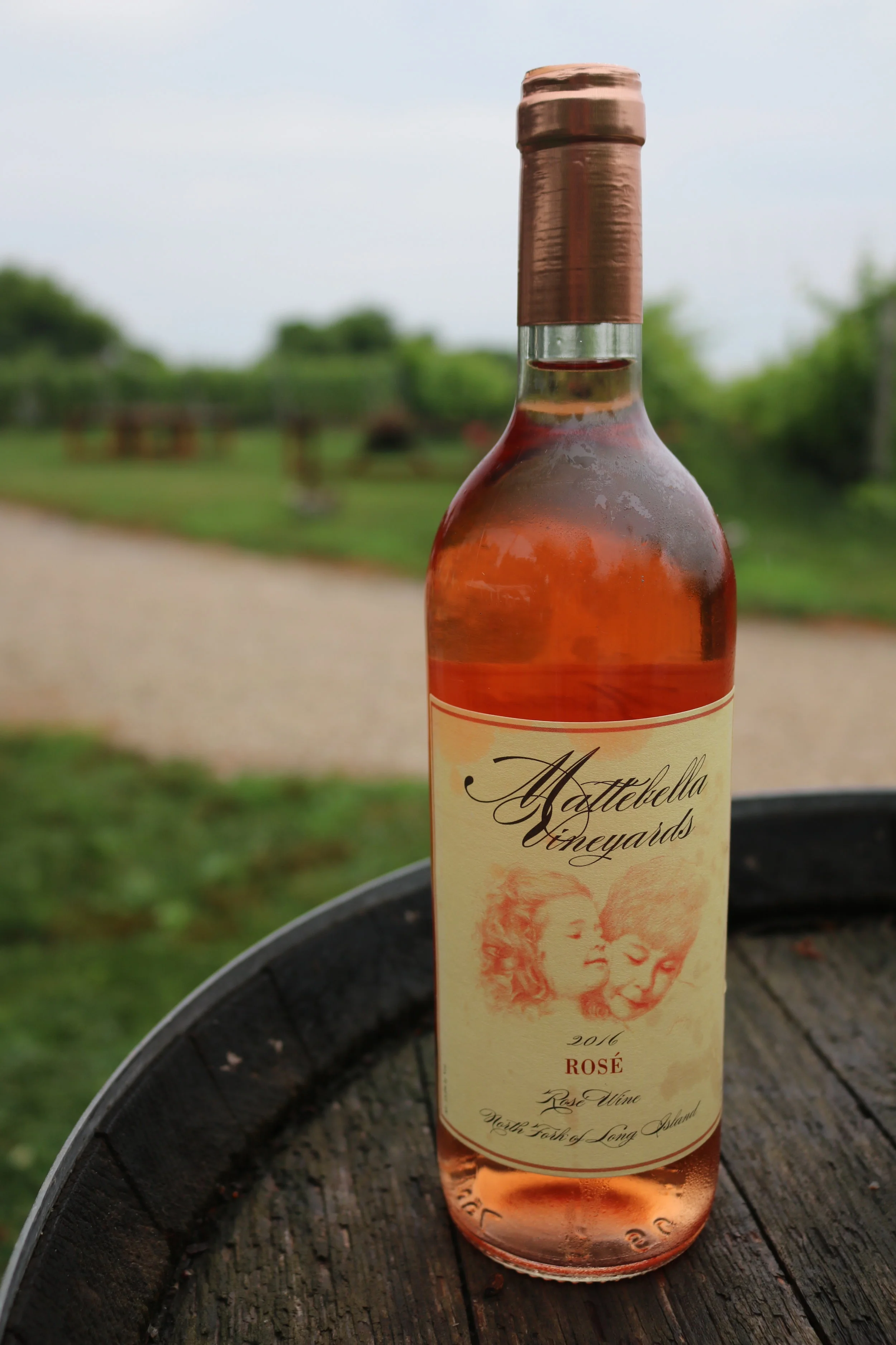 Rosé Wines — Mattebella Vineyards