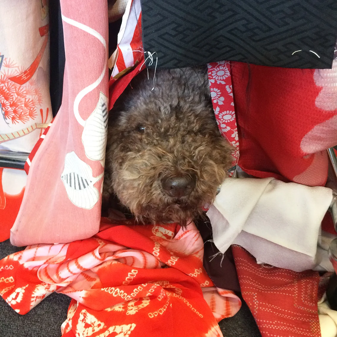 An Interview With Yoshi Jones — YOU ARE BRAVE Textiles