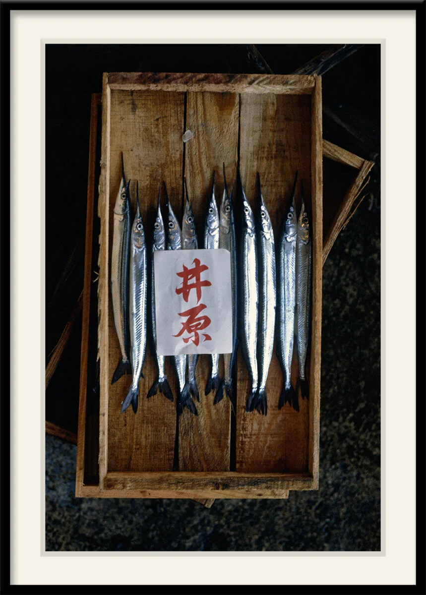 "Hagi, Then and Now" A Photographic Exhibition - Sam Abell and George ...