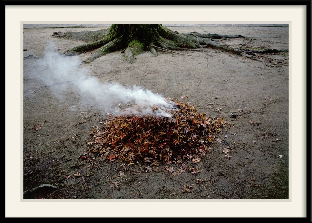 "Hagi, Then and Now" A Photographic Exhibition - Sam Abell and George ...