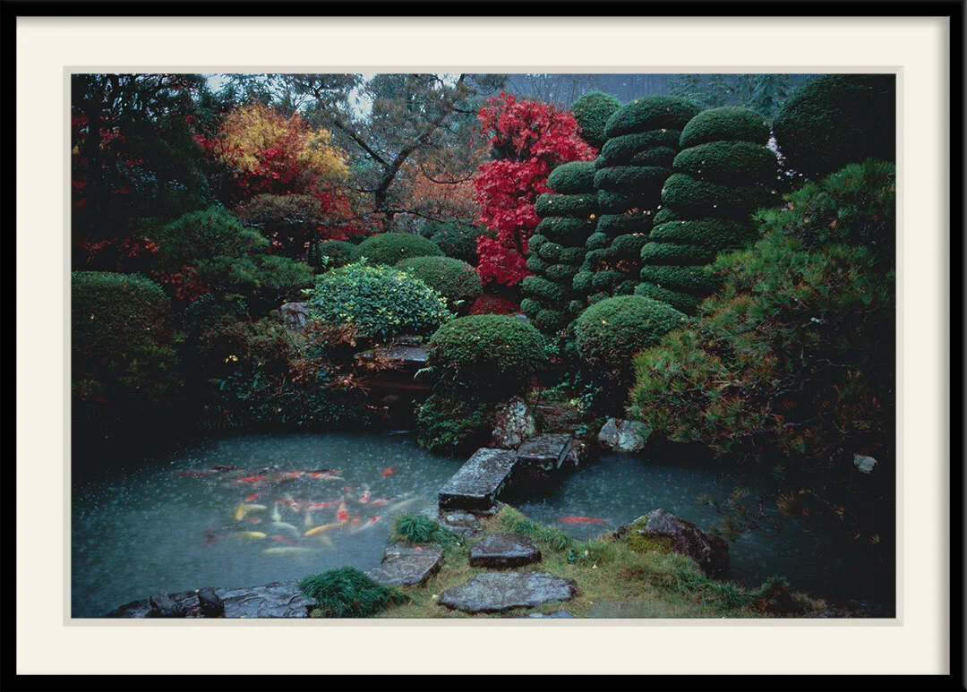 "Hagi, Then and Now" A Photographic Exhibition - Sam Abell and George ...