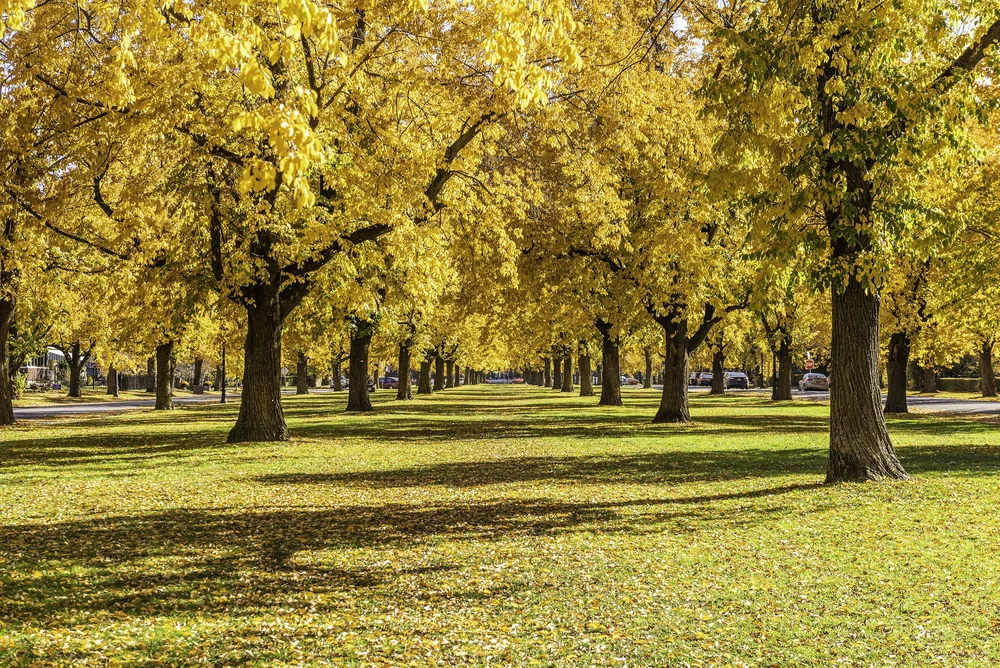 Top 12 Reasons to Move to Buffalo — Buffalo Homes