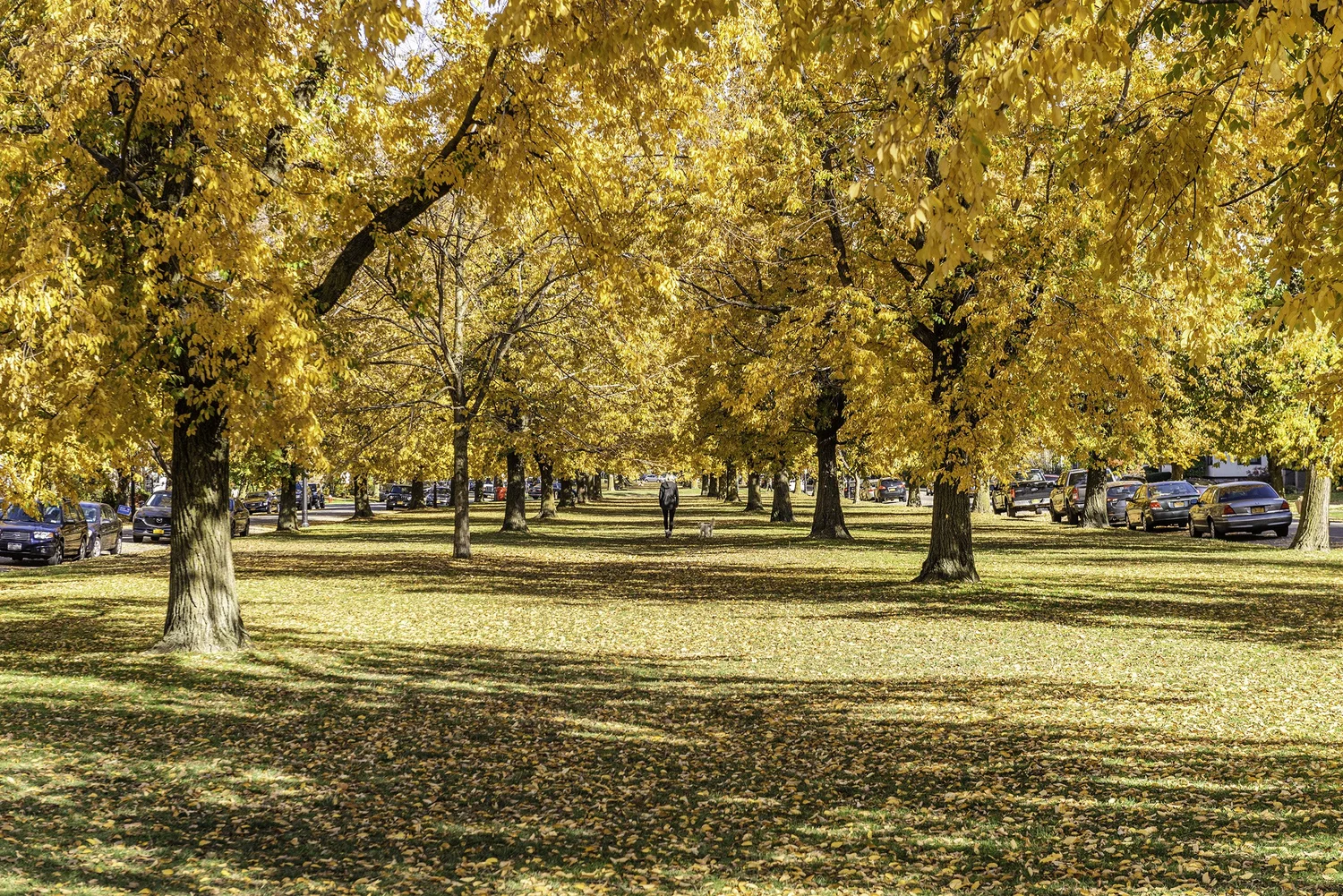 The Best Neighborhoods in Buffalo NY — Buffalo Homes