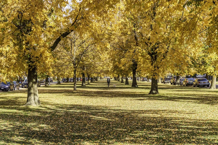 The Best Neighborhoods in Buffalo NY — Buffalo Homes