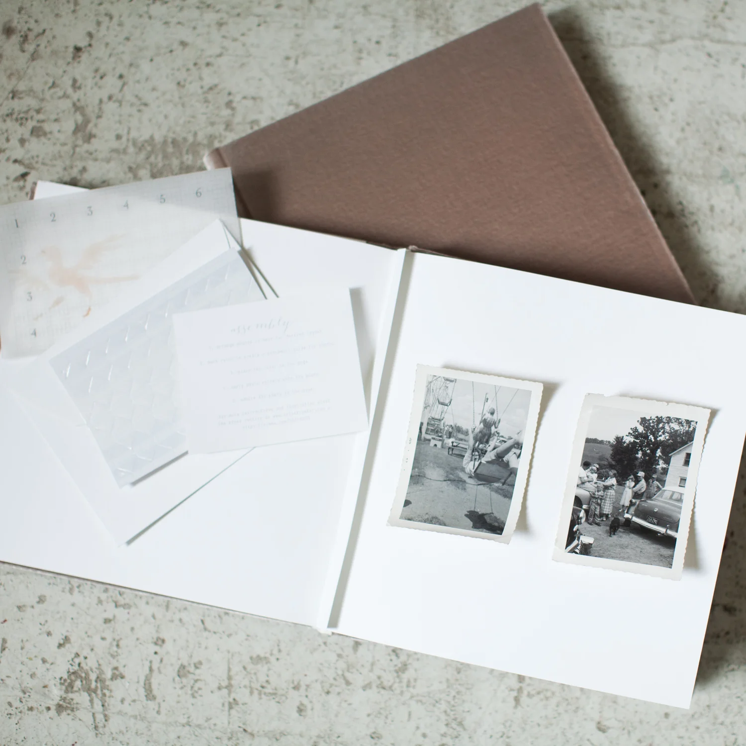 album assembly + info — Velvet Raptor