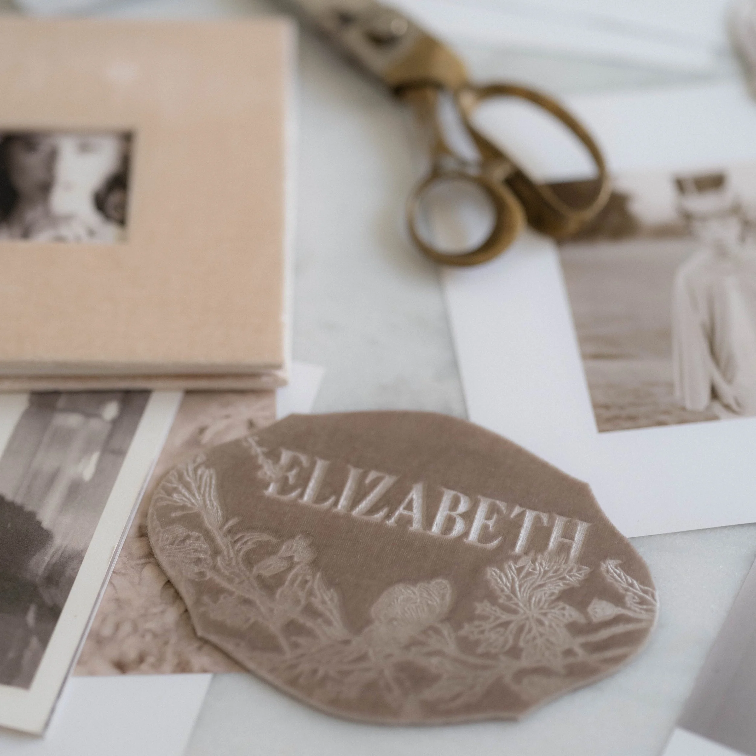 Luxury Velvet Paper Goods | Velvet Raptor