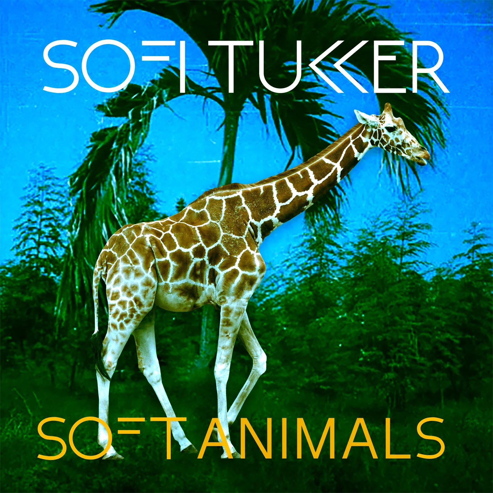 MUSIC — SOFI TUKKER