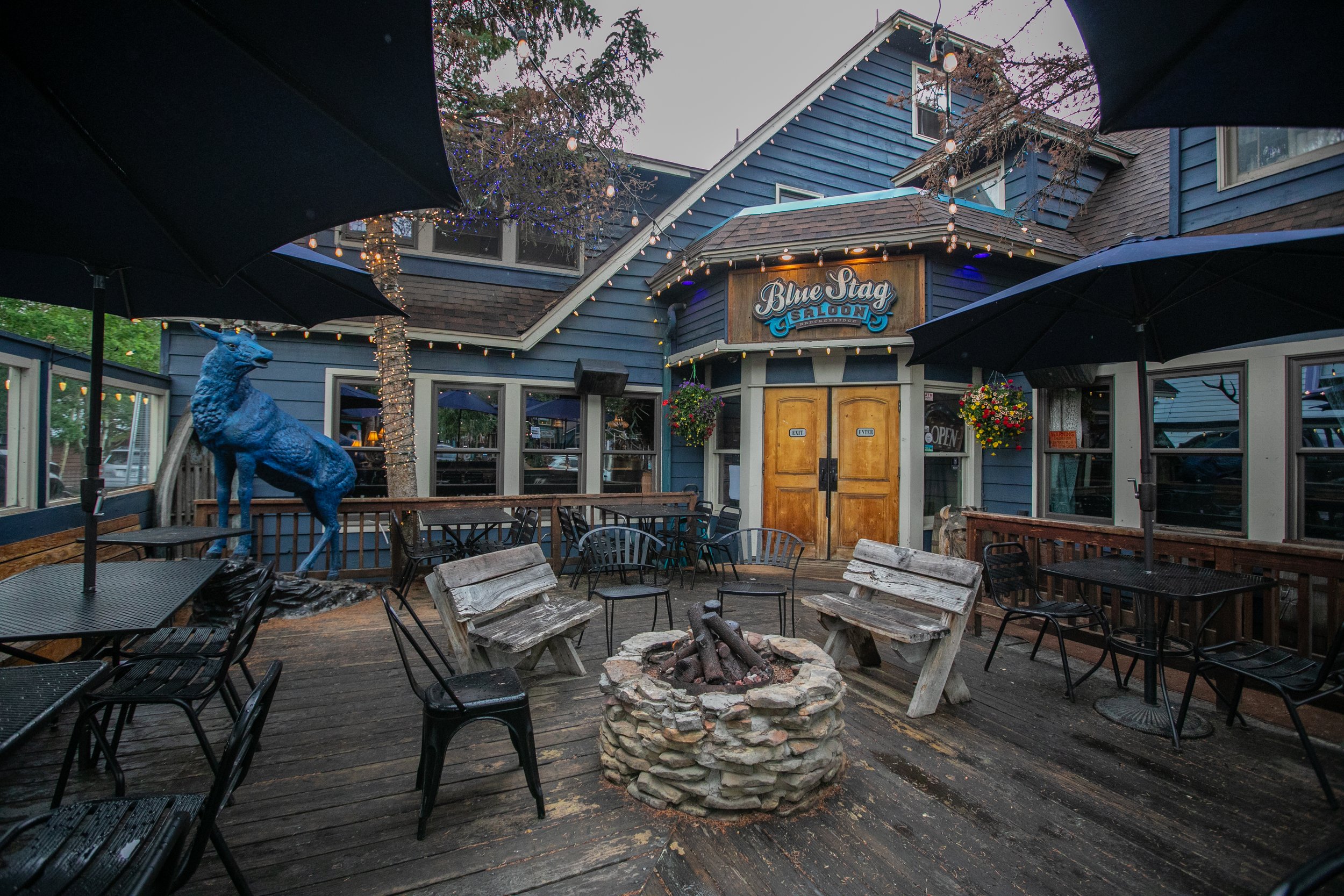 Blue Stag Saloon