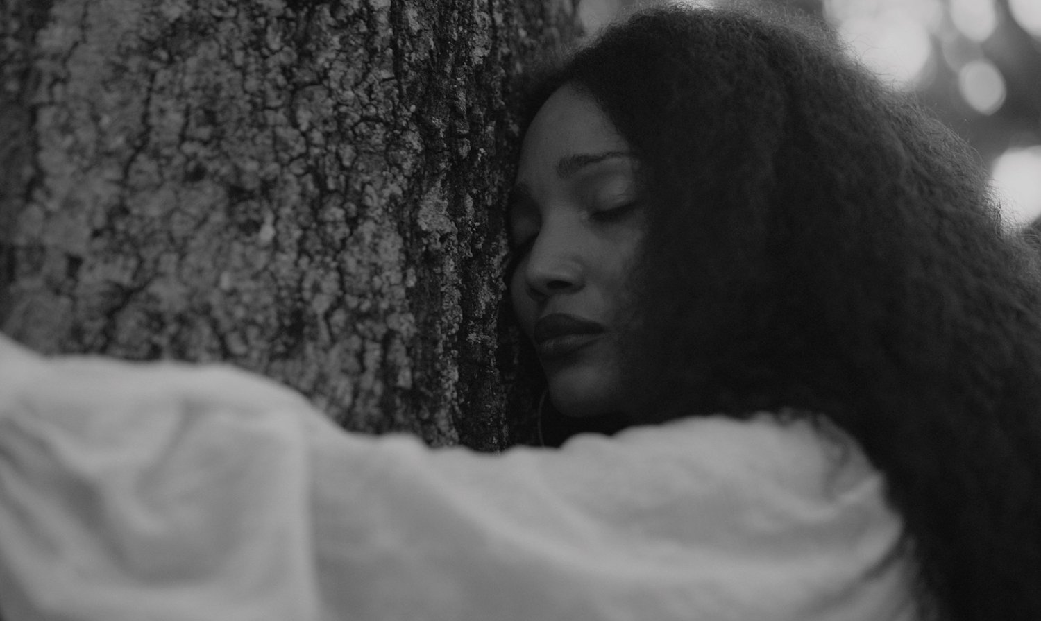 American Gurl: home — land — SaveArtSpace